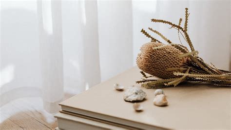 How Can I Get My Sheer Curtains White Again Home Curtains