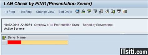 Performing A Sap Lan Check With Ping