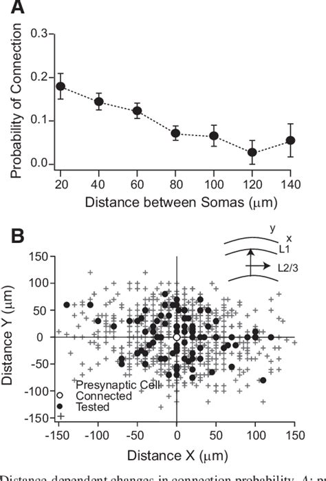 Table 1 From Maturation Of Intrinsic And Synaptic Properties Of Layer 23 Pyramidal Neurons In