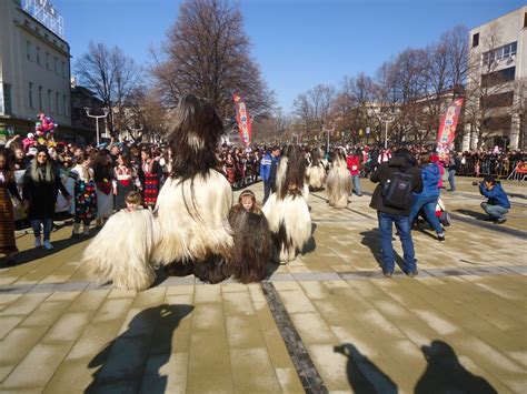 Перник Сурва България цяла сега вази гледа