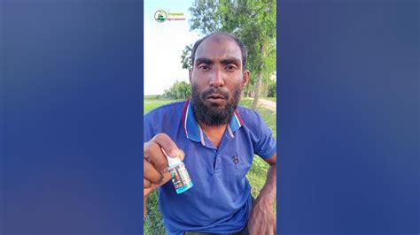 গরু বা ছাগলের যৌনি পথে ঘা হলে এই ওষুধটি ব্যবহার করতে পারেন Cow