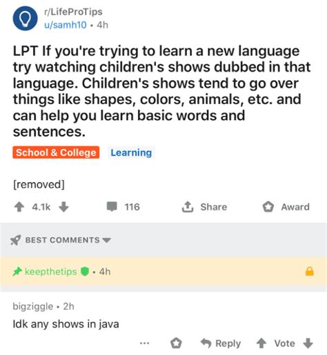 Copying Code From Stackoverflow Programmerhumor
