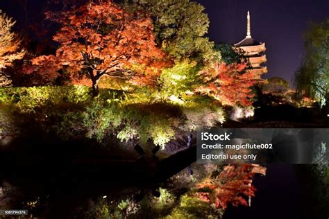 Toji Temple And Autumn Foliage As Illuminated At Night Kyoto Stock