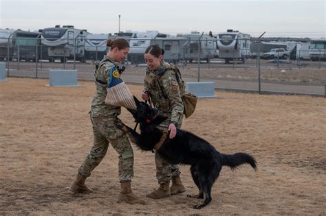 90mw Command Chief Catches Mwd Kirtland Air Force Base News