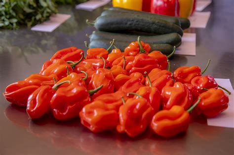 Taban Denis Tabbi Posted On Linkedin