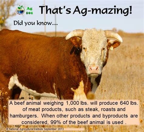 Images About H Beef Project On Pinterest