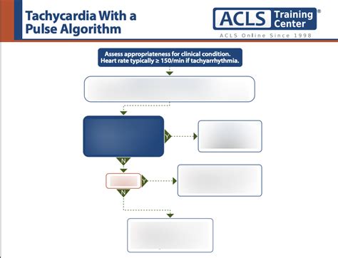 Tachycardia With Pulse Algorithm Diagram Quizlet