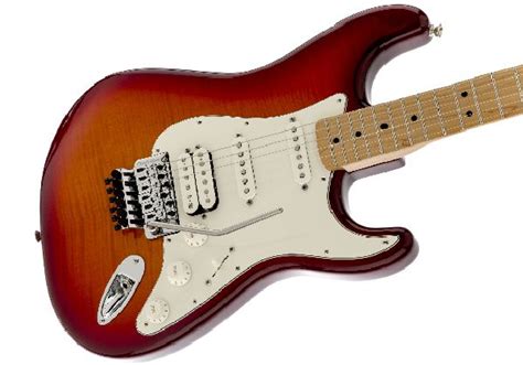Floyd Rose Tremolo Installation And Set Up Guide