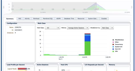 Panorama Oracle Dbs Performance Hub Report Now Integrated