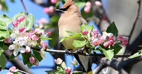 Spring Album On Imgur