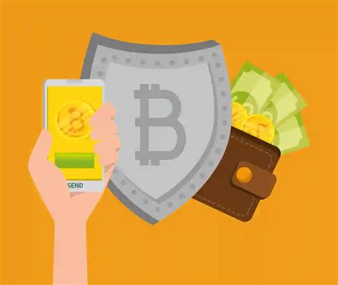 Crypto Wallets Safeguarding Your Digital Assets Coinbackyard