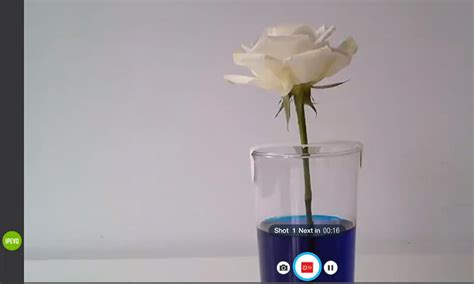 Ipevo Visualizer Tutorial Ipevo Ipevo Uk