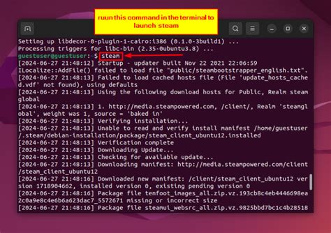 How To Install Proton For Steam On Linux 15 Easy Steps