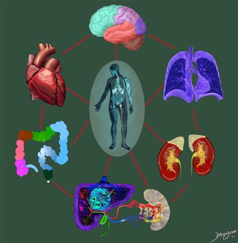 000 Reticulonodular Pattern The Common Vein