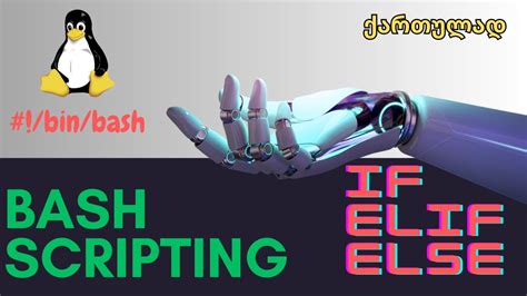 BASH Scripting N3 პირობის ოპერატორები if elif else YouTube