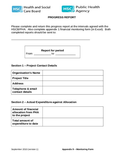 Professional Report Template Doc Template Pdffiller