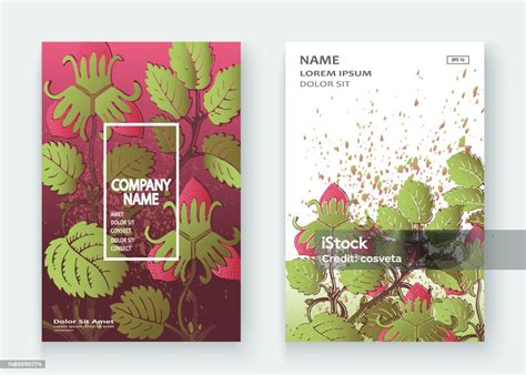 딸기 패턴 디자인 템플릿 제품 손으로 그린 레드 베리 귀여운 트렌디한 어두운 배경에 꽃이 만발한 녹지 덤불 그래픽 일러스트레이션 웨딩 초대장 포스터 카드 표지 제품 벡터 0