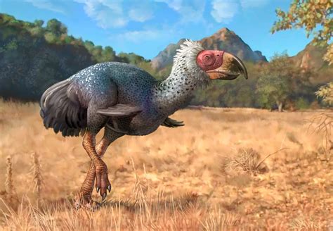 Prehistoric Birds
