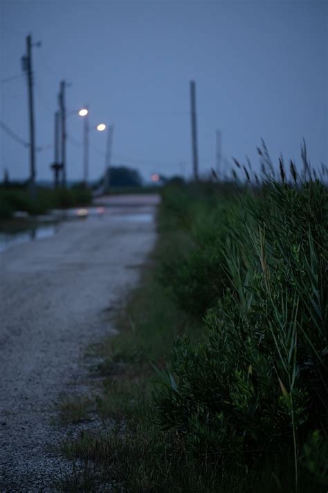 Sara Markese Photographer All About Photo