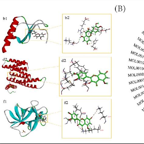 Molecular Docking Of Compounds With Core Targets A A1 And A2