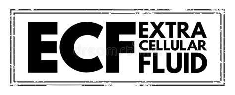 Ecf Extracellular Fluid Body Fluid That Is Not Contained In Cells Acronym Text Concept Stamp