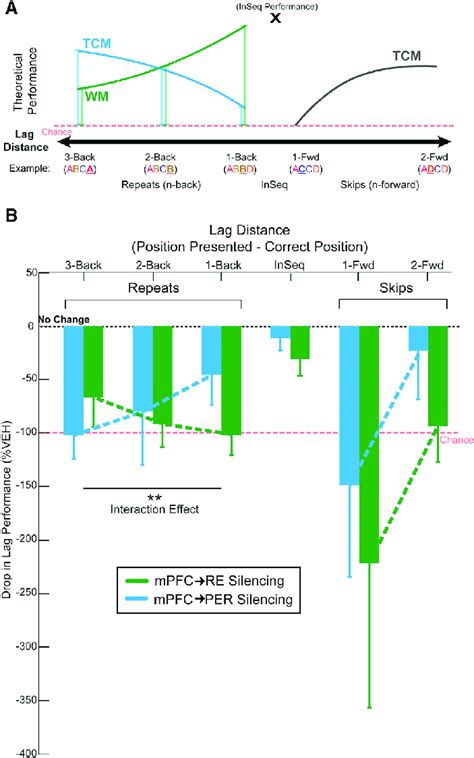 The Mpfc Re Pathway Supports A Working Memory Retrieval Strategy While Download Scientific