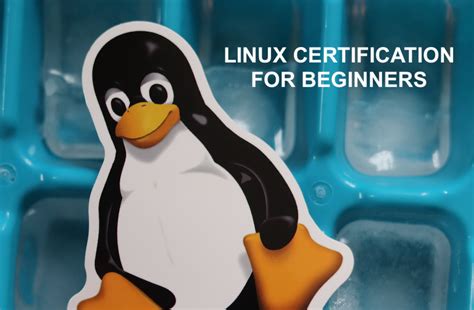 Which Linux Certification Is Best For Beginners