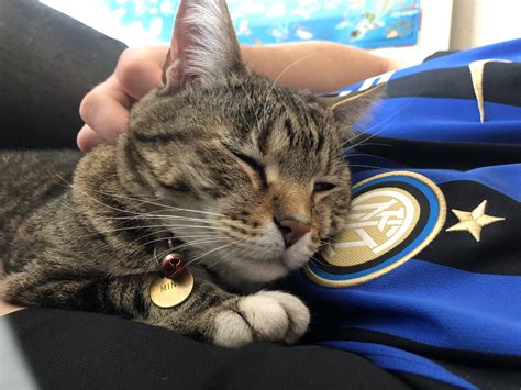 Roasted Peanuts Scrolller Roasted Peanuts Scrolller