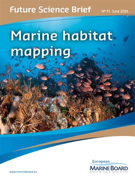 Marine Habitat Mapping Pdf Restoration Ecology Biodiversity