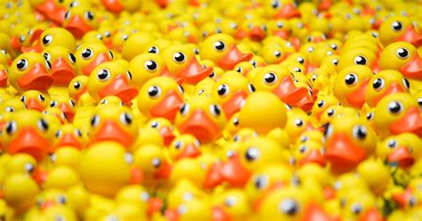 Api Smsapi Od Podstaw Odbieranie Sms Online 02 Blog Smsapi