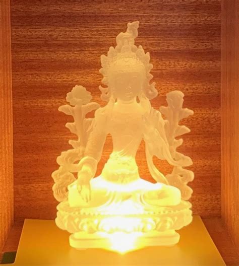 Help Sponsor A Wall Of Light At The New Yeshe Long Temple