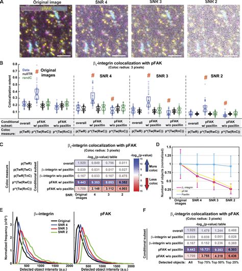 Conditional Colocalization Analysis Is Robust With Respect To Image Download Scientific Diagram
