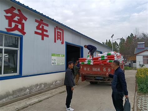 安陆：供销社助力 爱心农资下乡 湖北日报新闻客户端