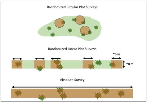 Sampling Design Methods Used For Riparian Habitat Monitoring July