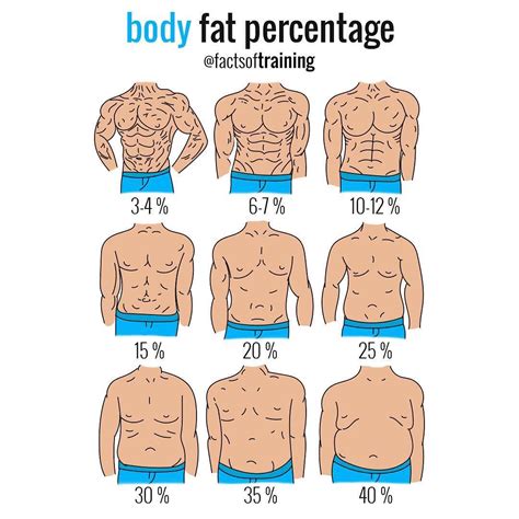 Body Fat Percentage Pictures Of Men And Women Builtlean Body Fat