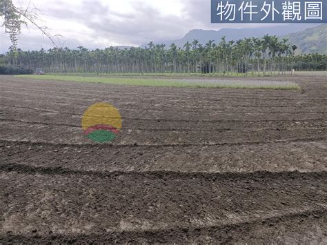 專任 光復近大農大富台糖雙面臨路農地 花蓮縣光復鄉大全段房屋出售 Ye0000488 永義房屋 新時代房仲