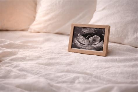 Whats The Success Rate Of Pgt Tested Embryos Her Serenity