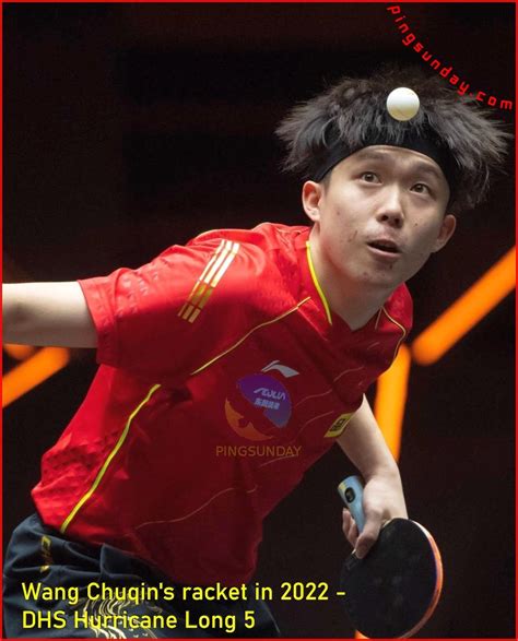 Wang Chuqin Equipment Updated Pingsunday