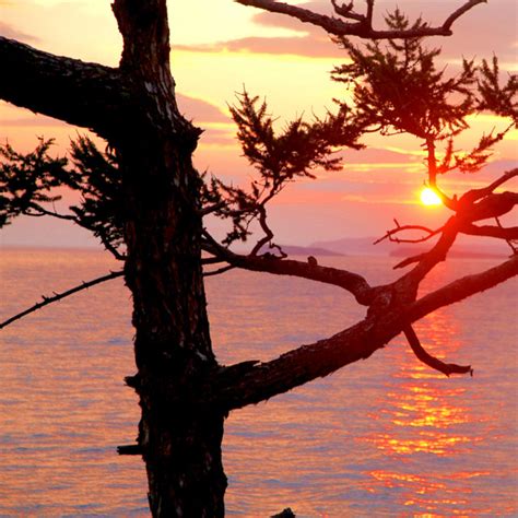 피아노 자장가 잠잘때 듣는 클래식자장가 위로를 담은 행복한 숙면과 좋은꿈을 위한 잔잔한 명상 수면음악 11 Single By 피아노자장가 멜로디 Spotify