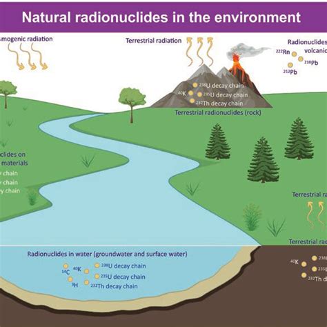 2 Natural Radionuclides Distribution In Different Environmental