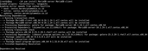 Dns Server Part 1 Instalasi And Konfigurasi Powerdns Mariadb Pada