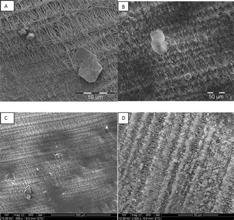 A Sem Micrographs Showing Different Particle Morphology Download