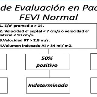 Algoritmo para el diagnóstico de la disfunción diastólica del VI en Download Scientific Diagram