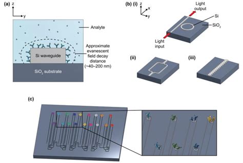 A Illustration Of Cross Section Of Silicon Photonic Sip Sensor Download Scientific Diagram