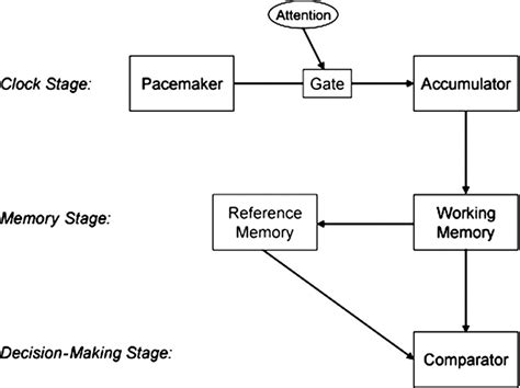 An Internal Clock Model Of Interval Time Perception A Graphical