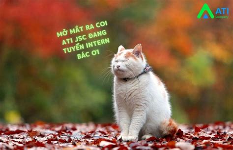 Khánh Huyền On Linkedin Intern Ati It Recruiter Hr Tuyendung