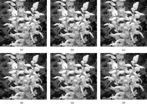 Figure From Image Interpolation By Adaptive D Autoregressive Modeling And Soft Decision