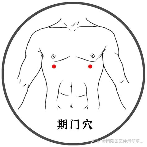 十大补气穴位，十大补血穴位，建议收藏 知乎