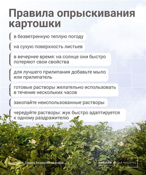 Как избавиться от колорадского жука навсегда: лучшие средства 2022 года ...