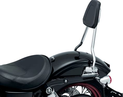 Mini Sissy Bar Dyna At Mia Fortune Blog